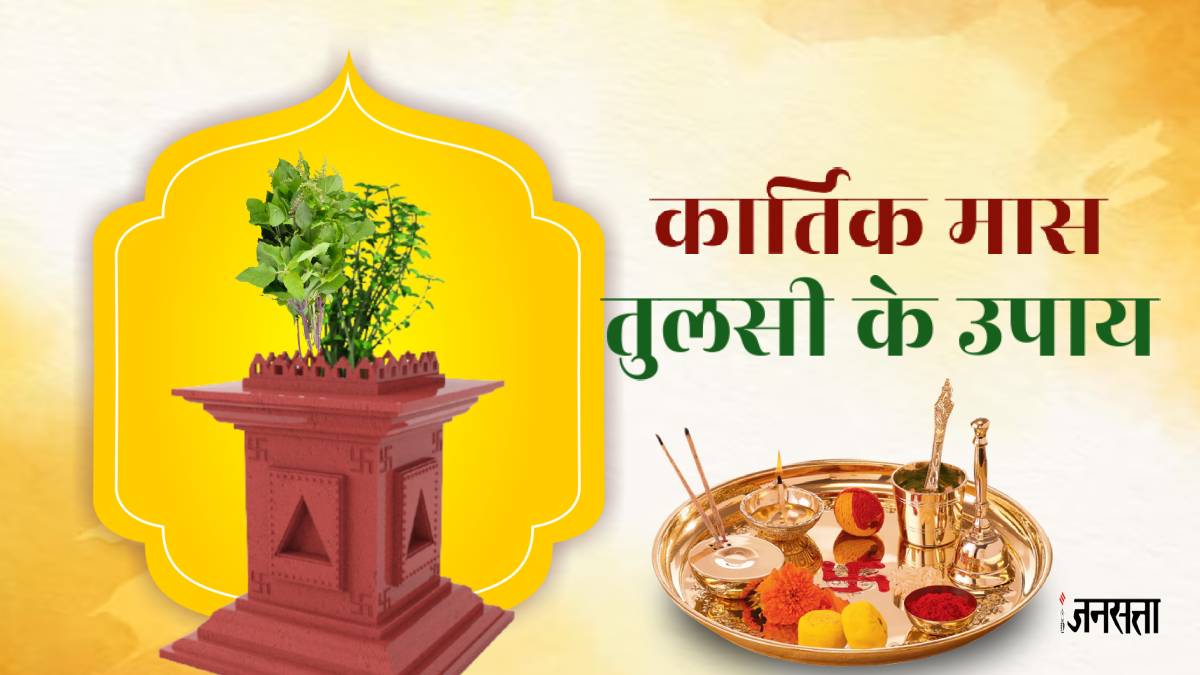 Kartik Month 2023: कार्तिक मास में करें तुलसी संबंधी ये उपाय, होगी मां ...