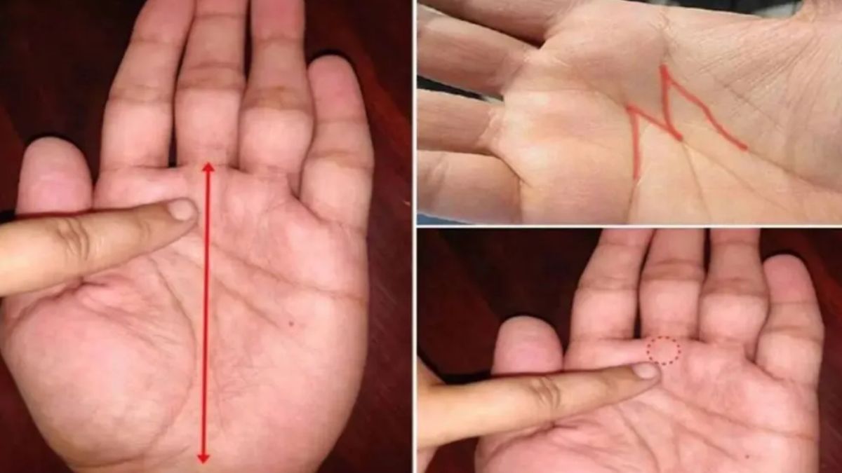 Badluck Sign on Palm palmistry: हथेली में ये निशान माने जाते हैं बेहद ...