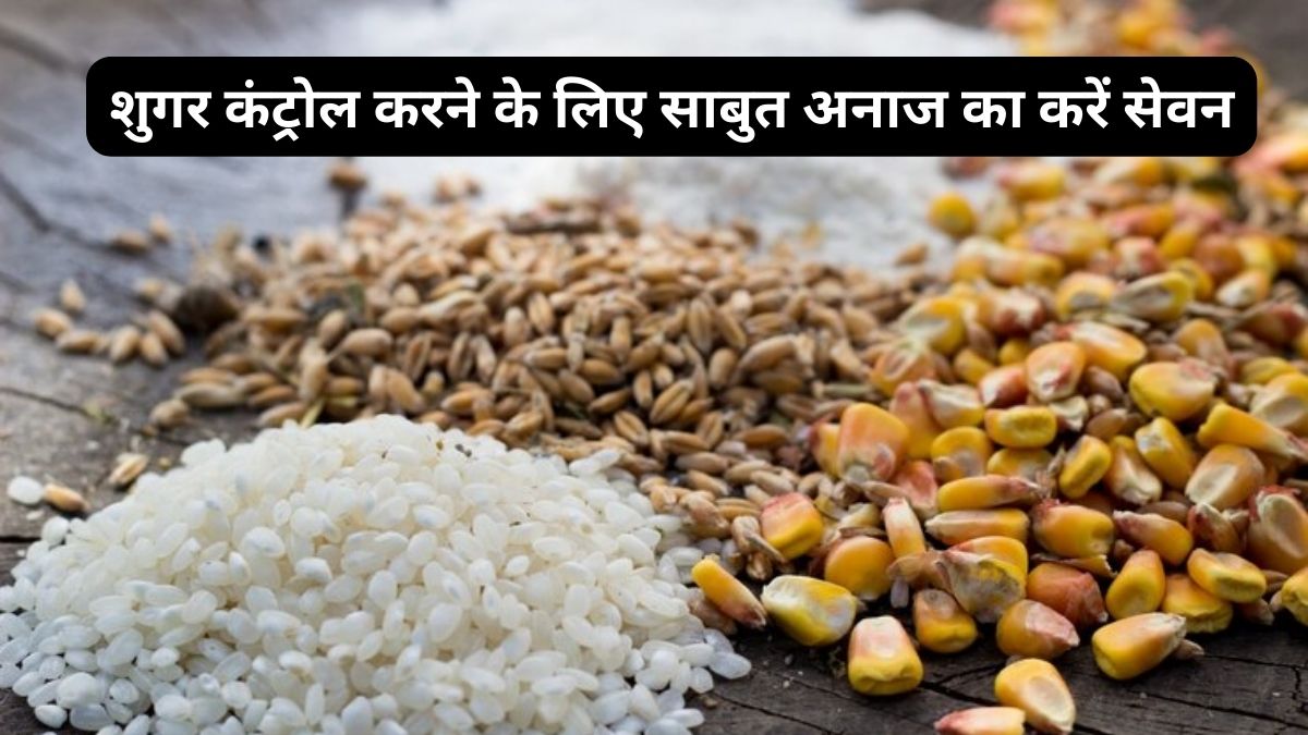 डायबिटीज मरीज इन 4 Millets को करें डाइट में शामिल, लो ग्लाइसेमिक अनाज ...