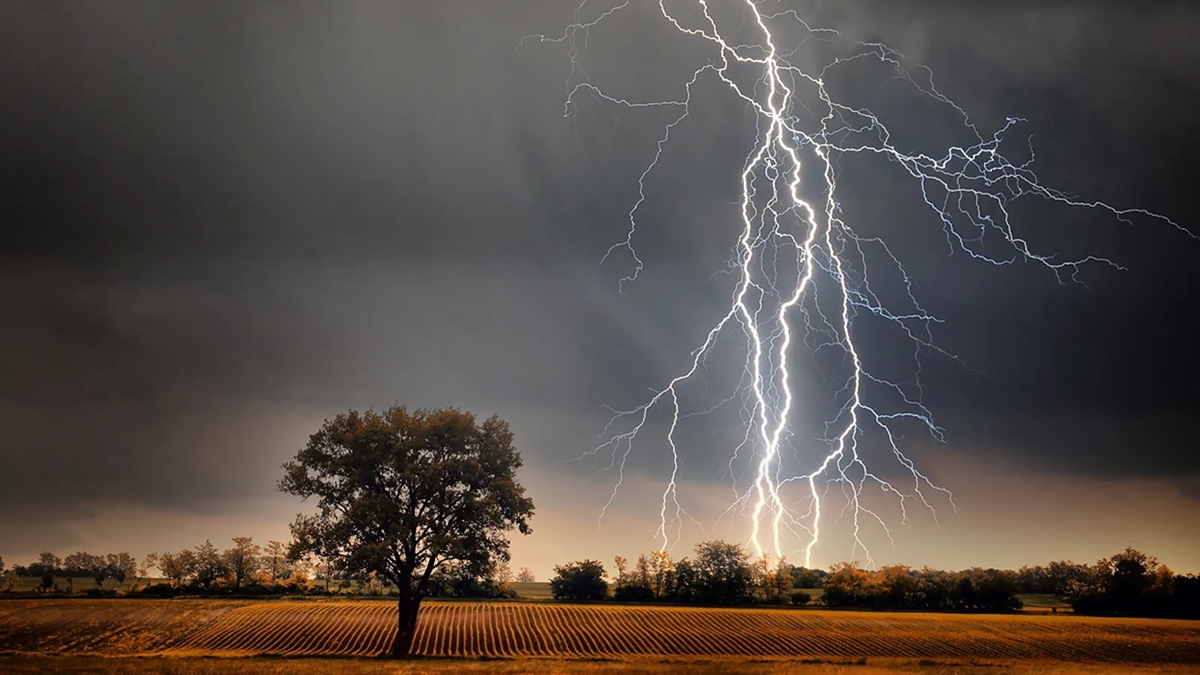 Video: मौत को टक्क से छूकर वापस आ गया ये शख्स! लगातार दो बार गिरी बिजली ...