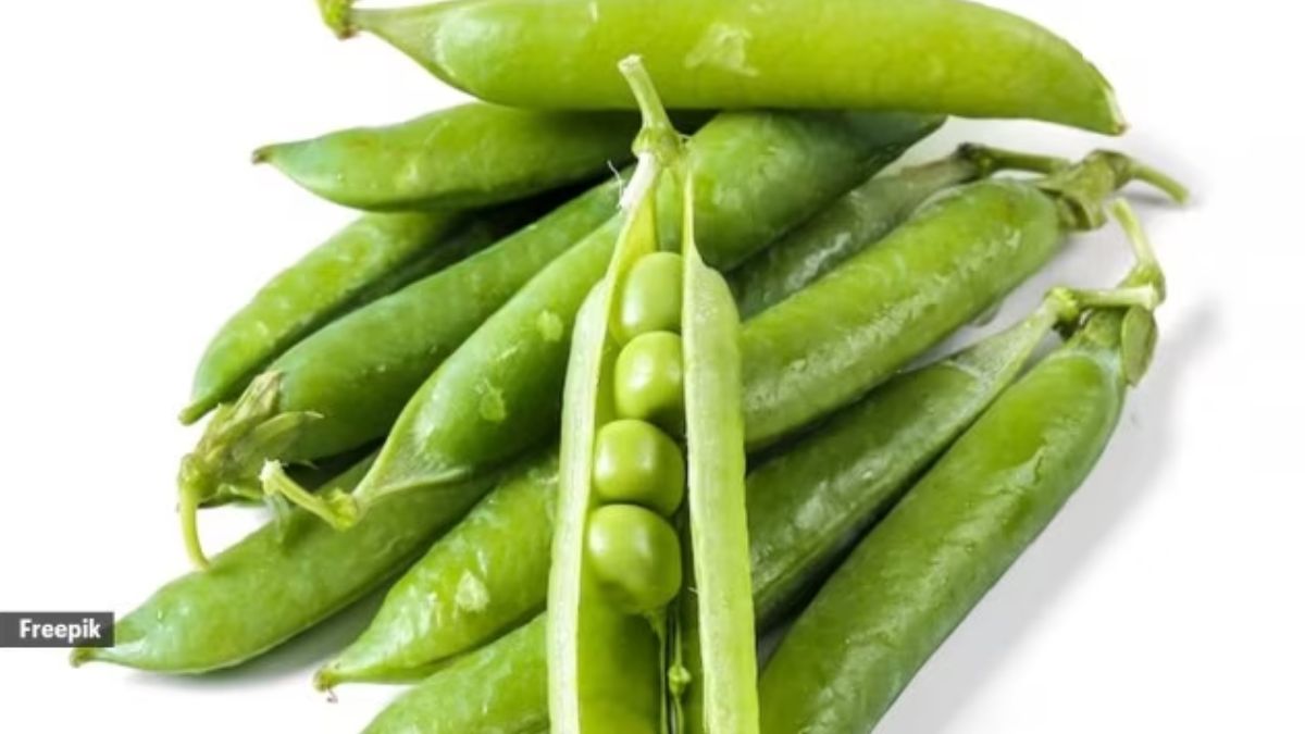 सर्दी में 100 ग्राम मटर का सेवन बॉडी में कैसे करता है असर, डायबिटीज ...