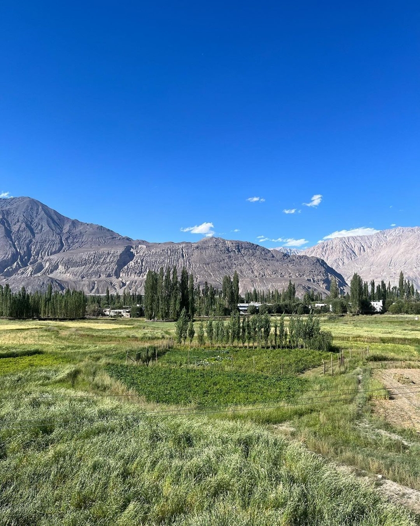 सोये तो पाकिस्‍तान में थे, जब आंख खुली तो बन गए भारतीय, 52 साल पहले ...