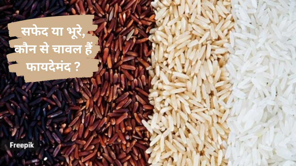 कौन से चावल खाएं? पोलिश किए हुए या बिना पॉलिश किए, जानिए सेहत के लिए ...