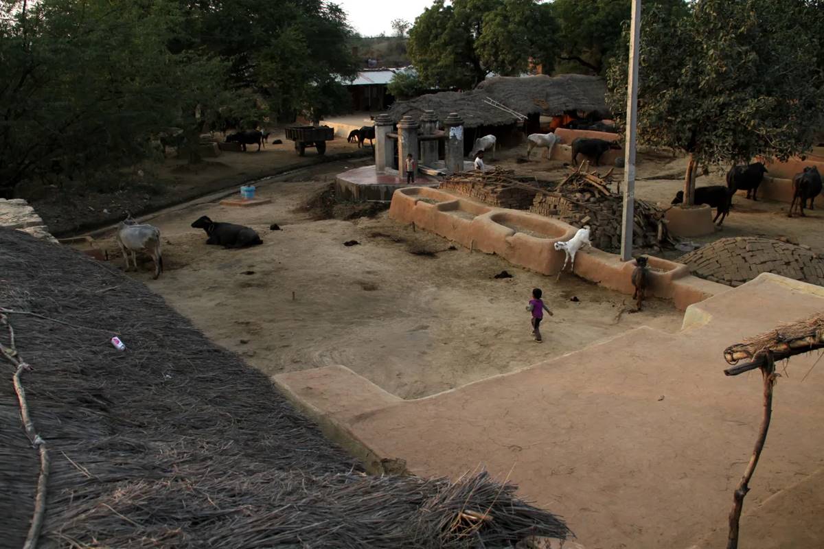 Behmai Killings: 'जब फूलन देवी ने 20 ग्रामीणों को गोलियों से भून डाला ...