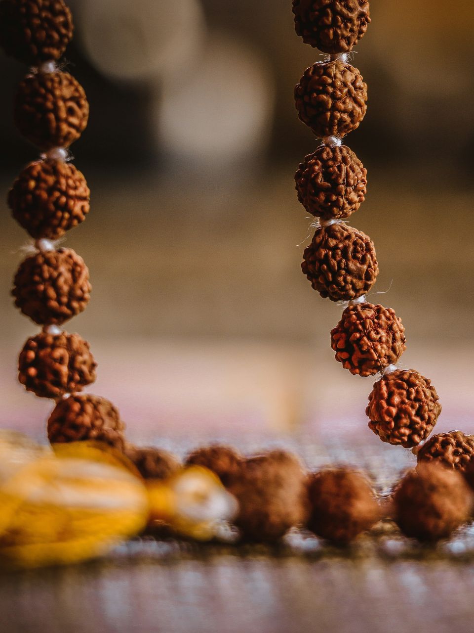 Different types of Rudraksha and their benefits