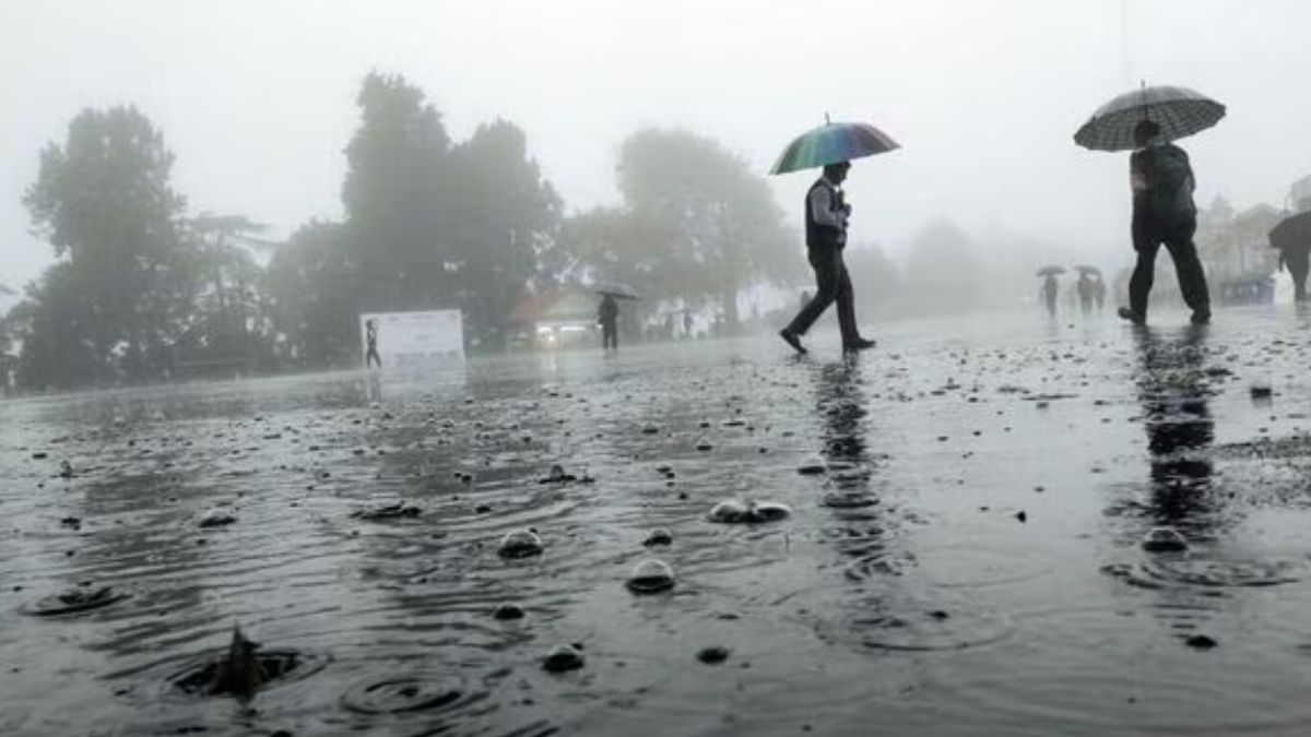 Weather Update Today 15 February 2024 Imd Forecast Rain From Delhi To ...