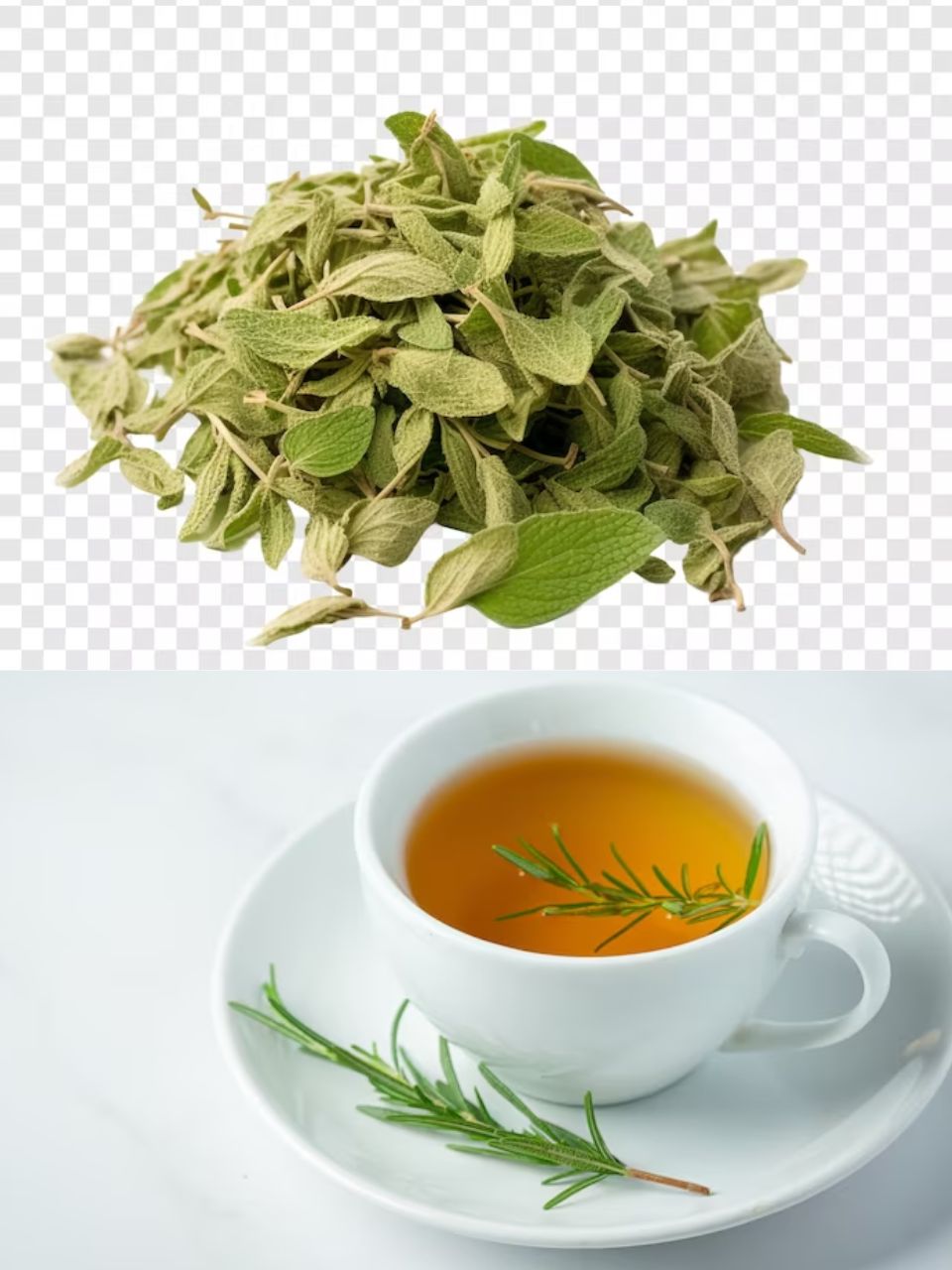 amazing benefits of curry leaves for digestion improve and cholestrol cony