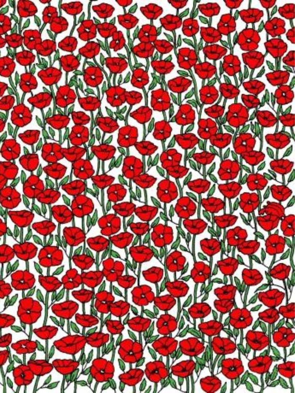 Optical Illusion: Find the Crab in the Field of Red Poppy flowers