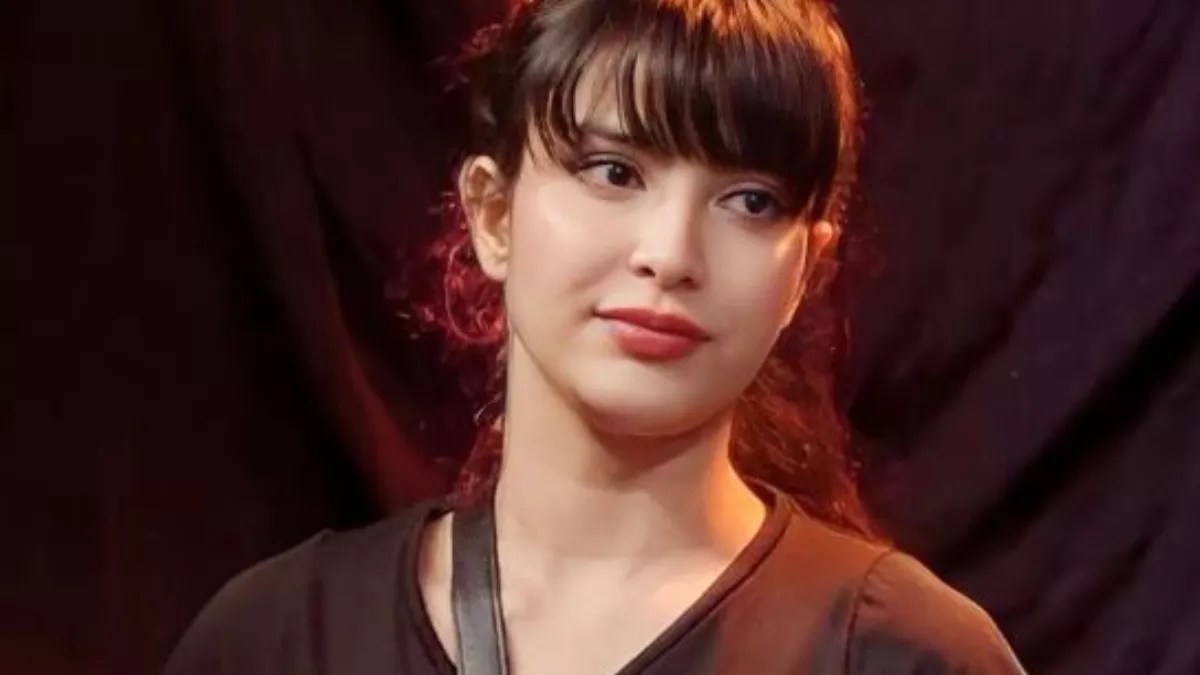 They wanted to kill me Bigg Boss 17 fame Khanzadi made a shocking ...