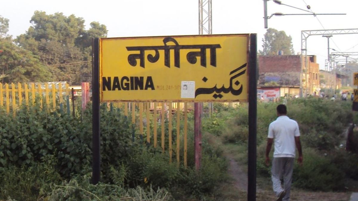 Nagina Lok Sabha Elections: अनुसूचित जाति वाली वो सीट जहां मुस्लिम ...