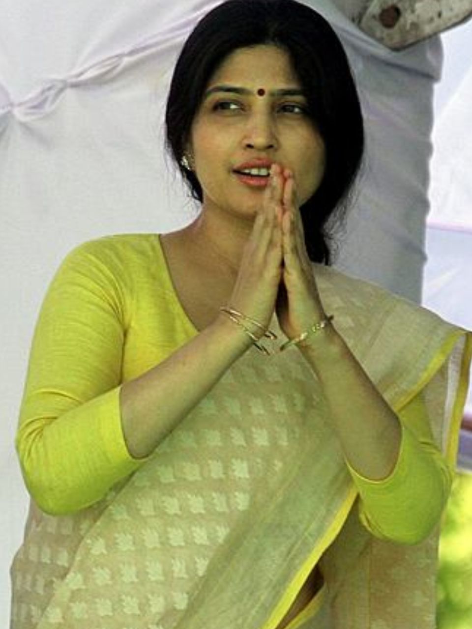 Dimple yadav Samajvadi party candidate net worth property