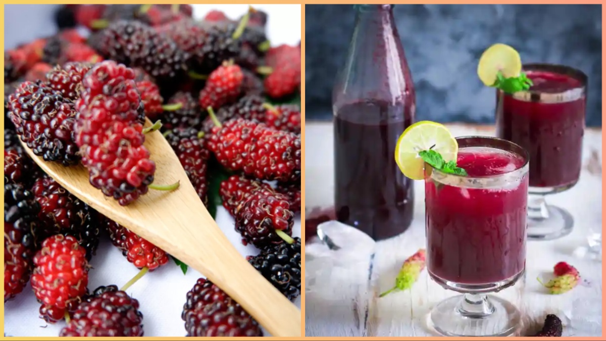 शहतूत का शरबत: इस शरबत के सामने फेल है नींबू शिकंजी और आम पन्ना! जानें ...