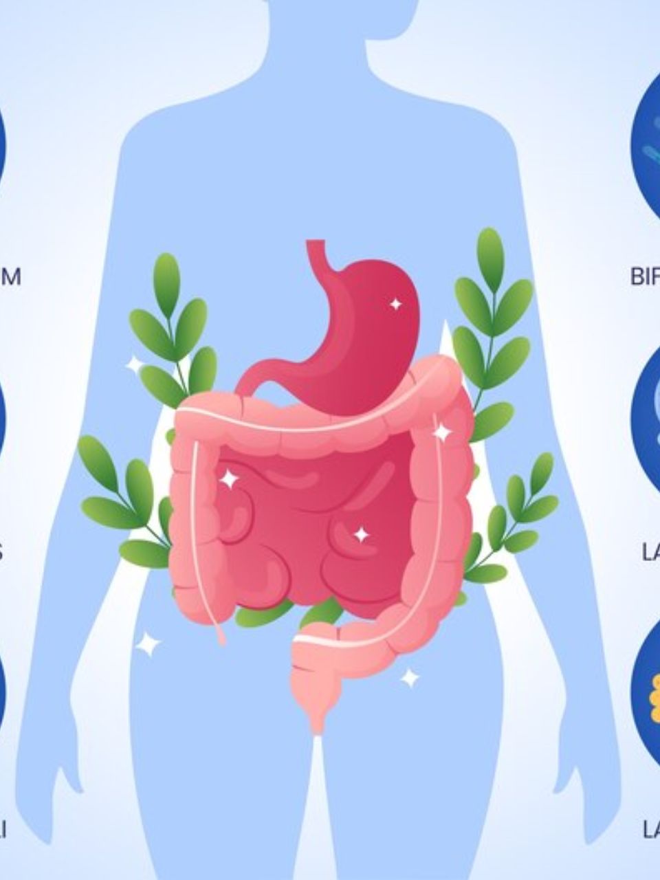 consume these four probiotic foods for improve intestine health curd ...
