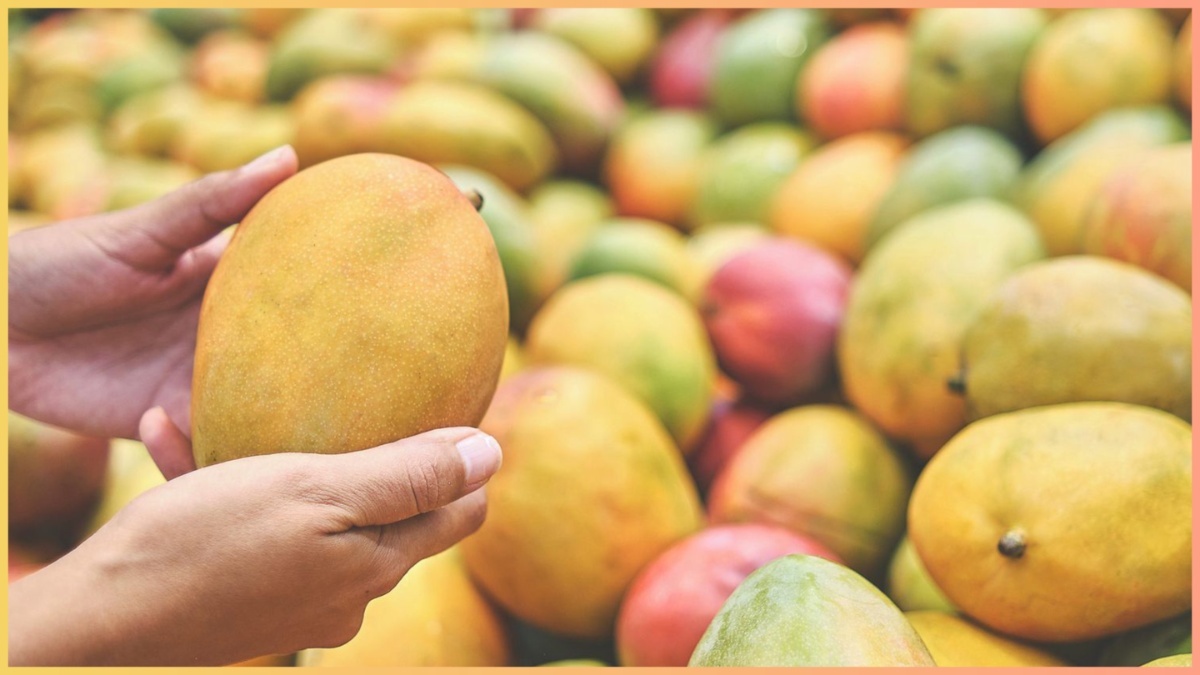 How to identify naturally ripened mango:बिना काटे, बिना चखे कैसे खरीदें ...