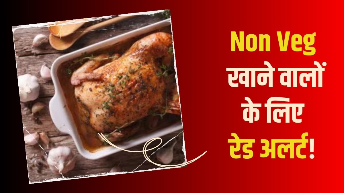 नॉन वेज खाना कितना सुरक्षित? चिकन शावरमा खाने से मौत के बाद उठे सवाल ...