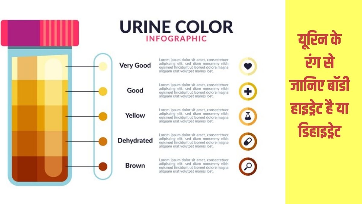 गर्मी में यूरिन का रंग बताएगा बॉडी में बढ़ गई है Dehydration, हीट को ...