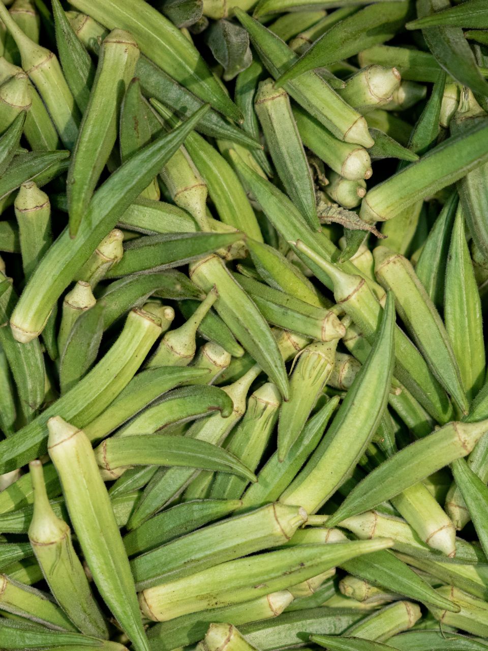 1 साल बाद गुरु की राशि में बनेगा बुधादित्य राजयोग, इन 3 राशि वालों को ...