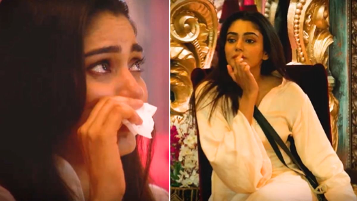 BB OTT 3 Sana Makbul Inspiring Story She Reveals When Dog Bitten on her lips gets 121 stitches ...