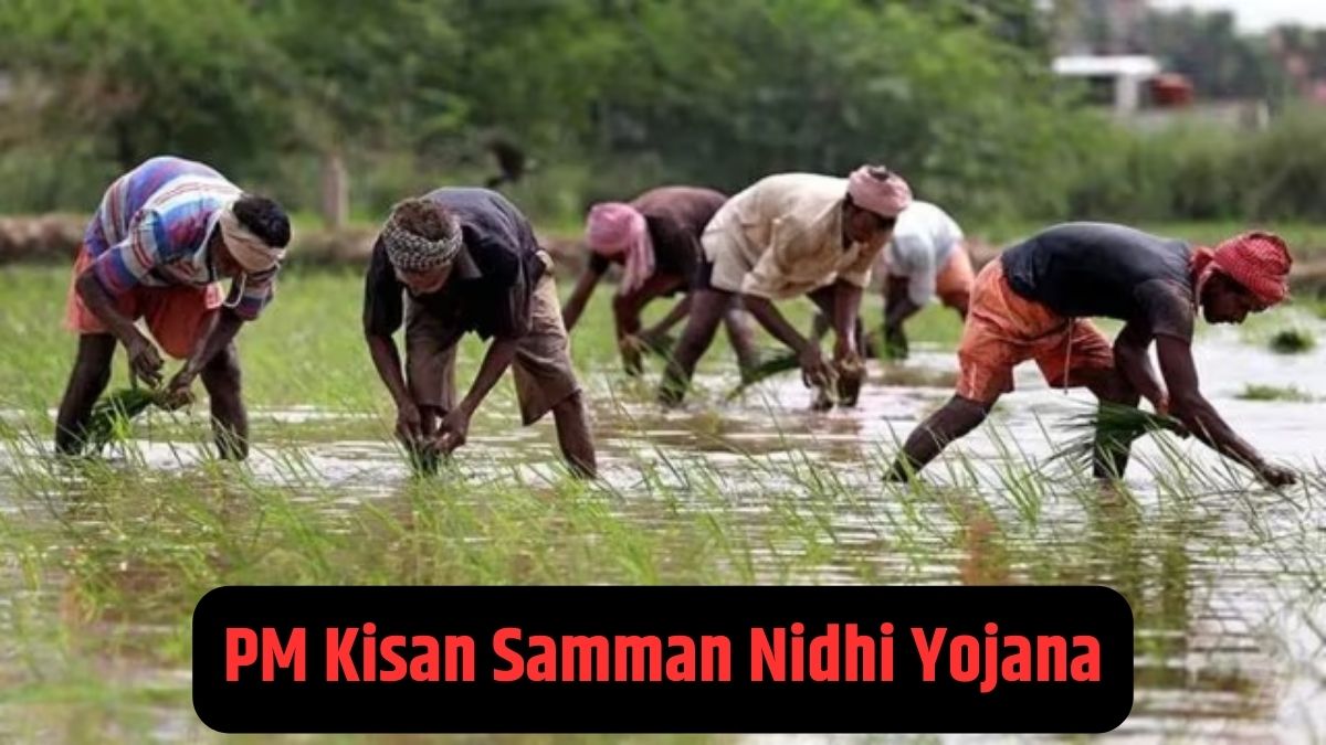 PM Kisan Samman Nidhi Yojana 17th Installment 2024 Today: Check PM ...