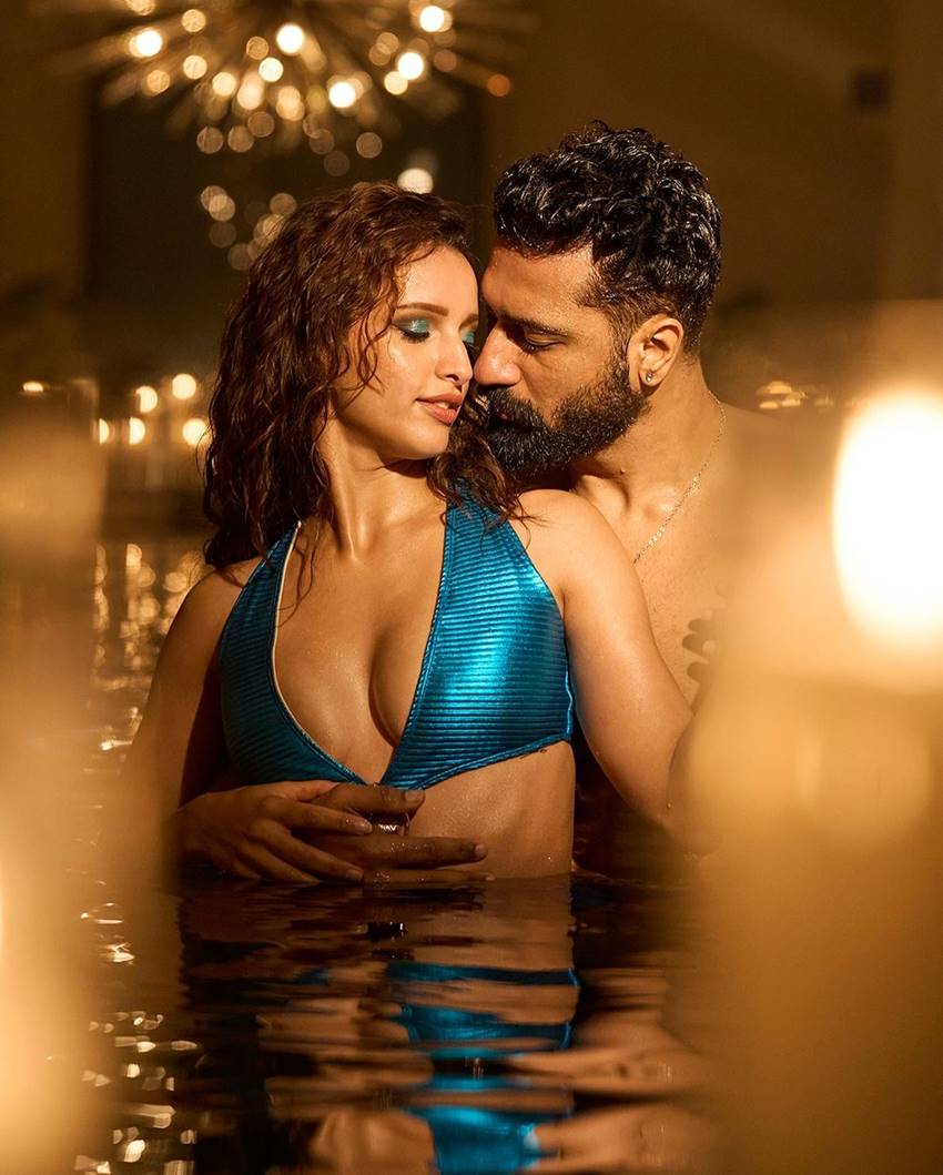Tripti dimri and Vicky kaushal Song Jaanam intimate scene Actress Film Charge Source of Income ...