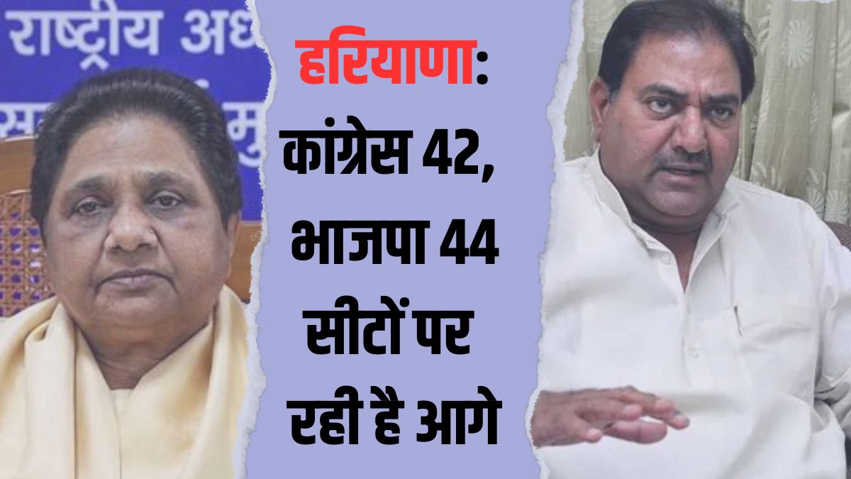 impact of INLD BSP alliance in Haryana Assembly elections | Jansatta