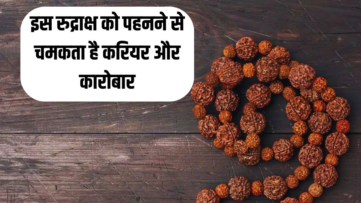 इस रुद्राक्ष को पहनने से करियर और कारोबार में मिलती है तरक्की, शनि देव से है संबंध, जानिए धारण ...