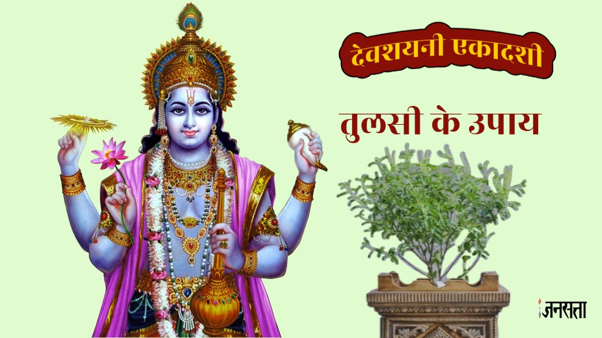 देवशयनी एकादशी पर करें तुलसी संबंधी ये उपाय, मां लक्ष्मी के साथ विष्णु ...