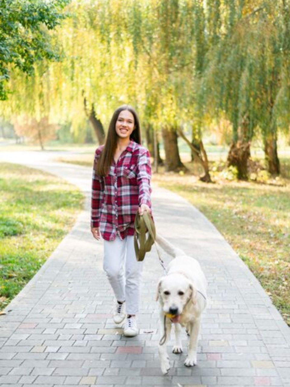 Is 10-minute walk after eating every meal can improve digestion?