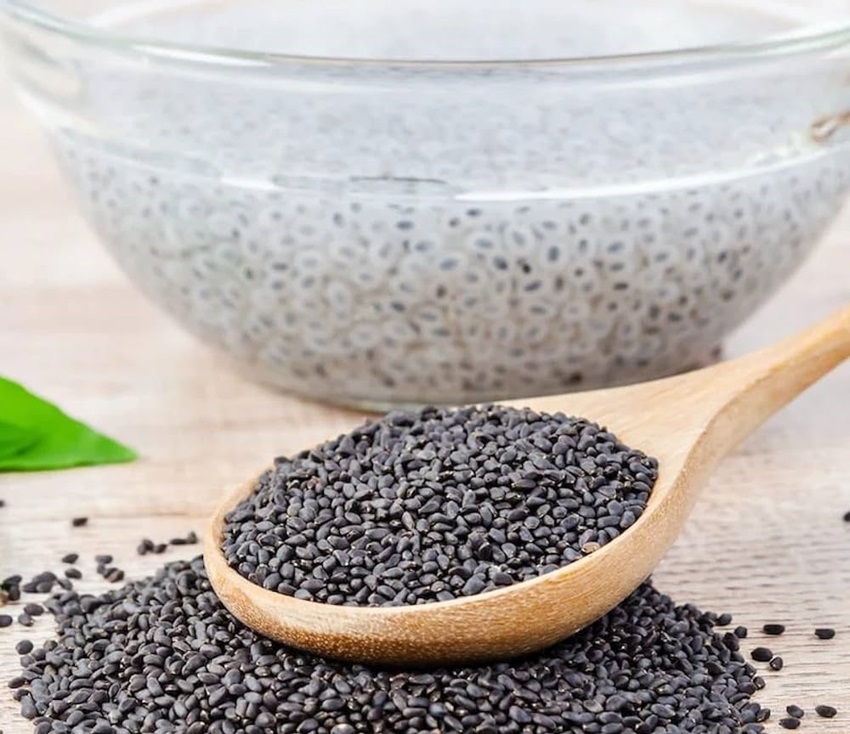 Sabja seeds of India or Chia seeds of Mexico, which is better for ...
