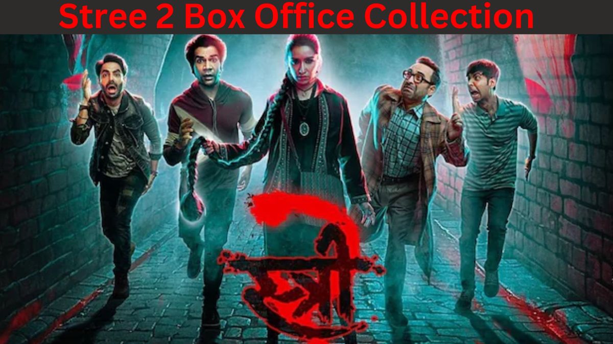 Stree 2 box office collection day 2 rajkumar rao and shradha kapoor movie collects around 100 ...