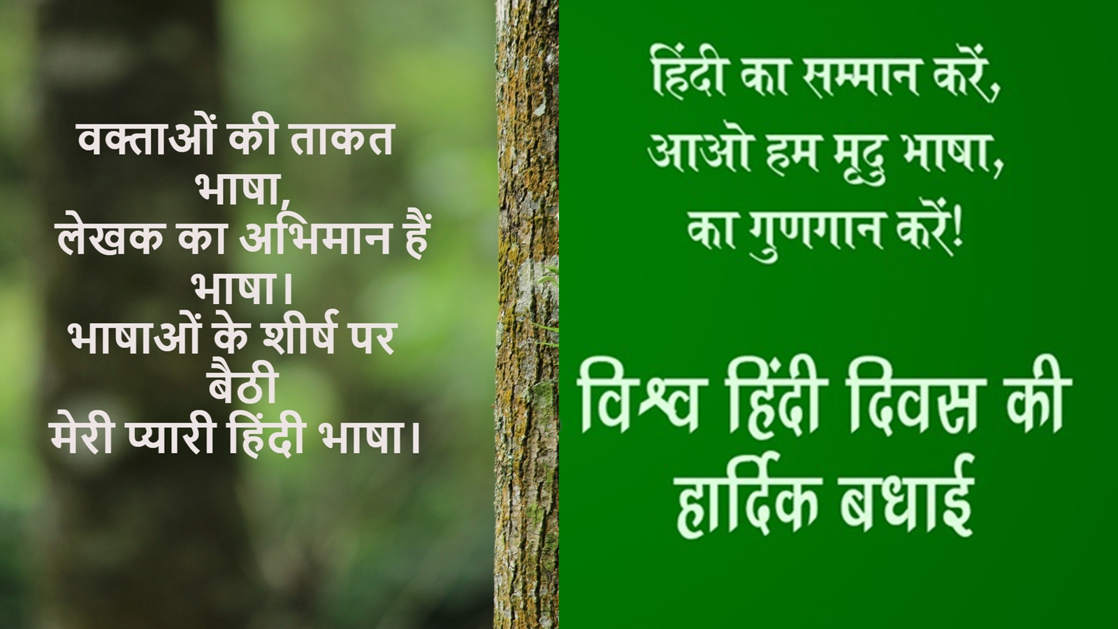 Hindi Diwas 2024 Quotes, Slogan, Nare: 'अपनी हिंदी को हम अपने देश में ...