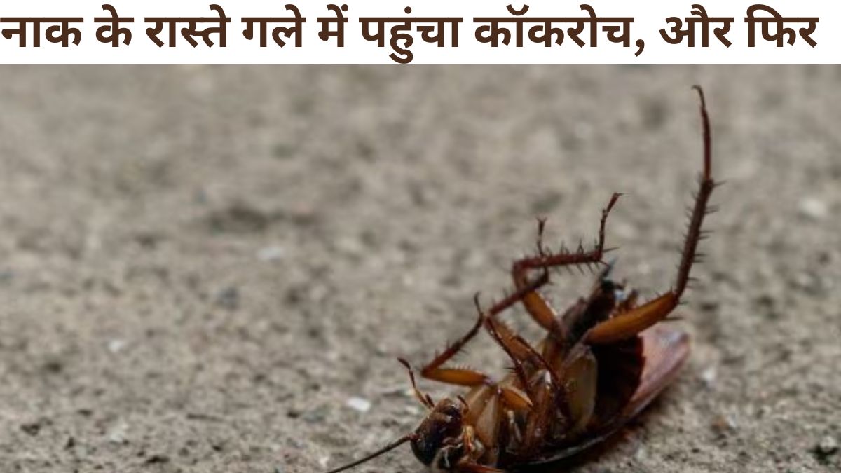 Man inhales cockroach in nose during sleep ct scan report is horrible ...