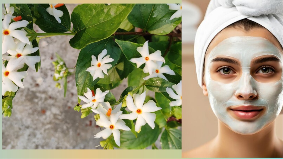 Harsingar: दादी-नानी भी इस्तेमाल करती थी इस फूल का फेस पैक | Jansatta