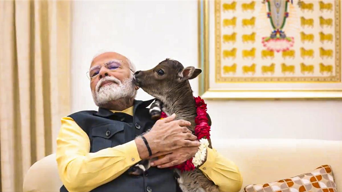 'एक ही दिल है मोदी जी कितनी बार जीतोगे', पीएम हाउस में आए नए मेहनाम के वीडियो पर लोग दे रहे ऐसे ...