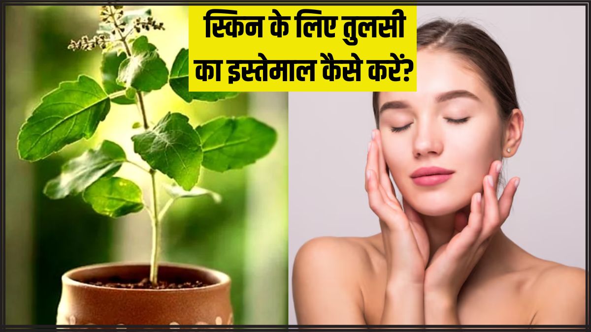 इन 5 तरीकों से त्वचा की कायापलट कर सकती है तुलसी, बस जान लें कैसे करना ...