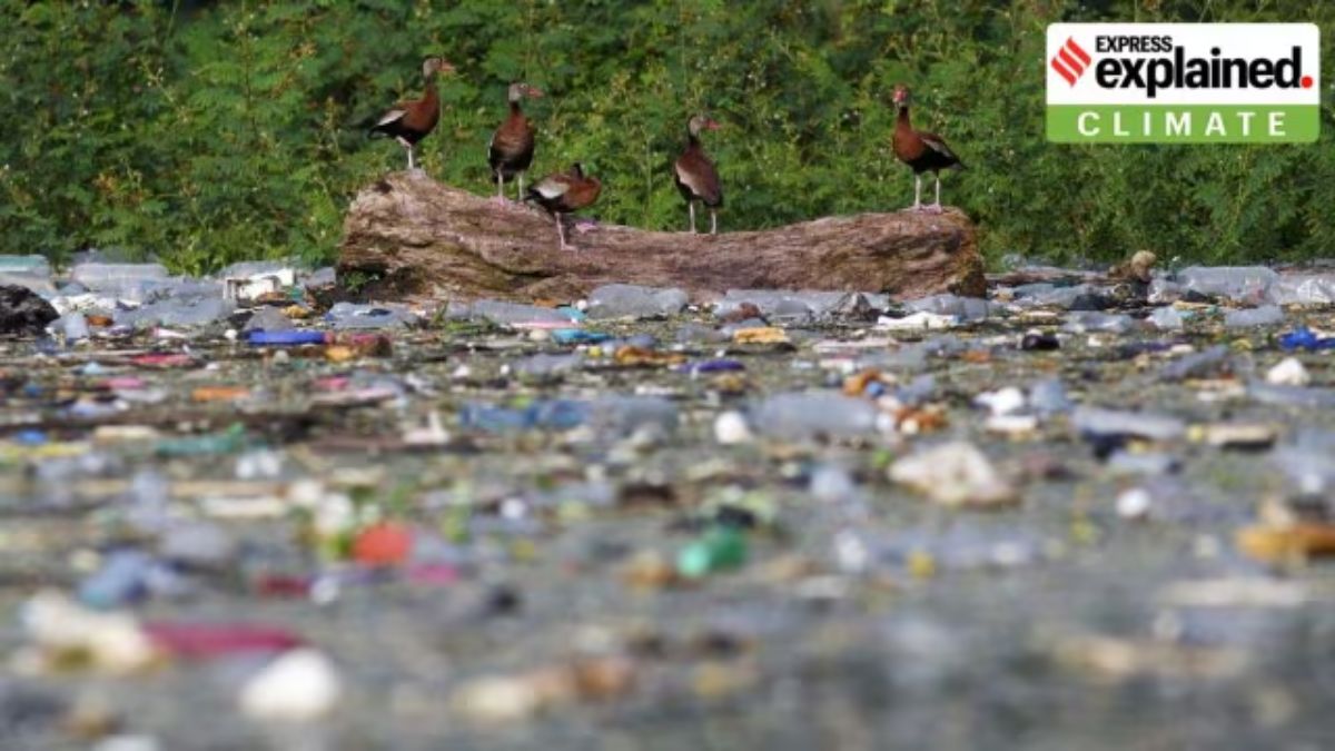 india is number one in plastic pollution new study found - Highest ...