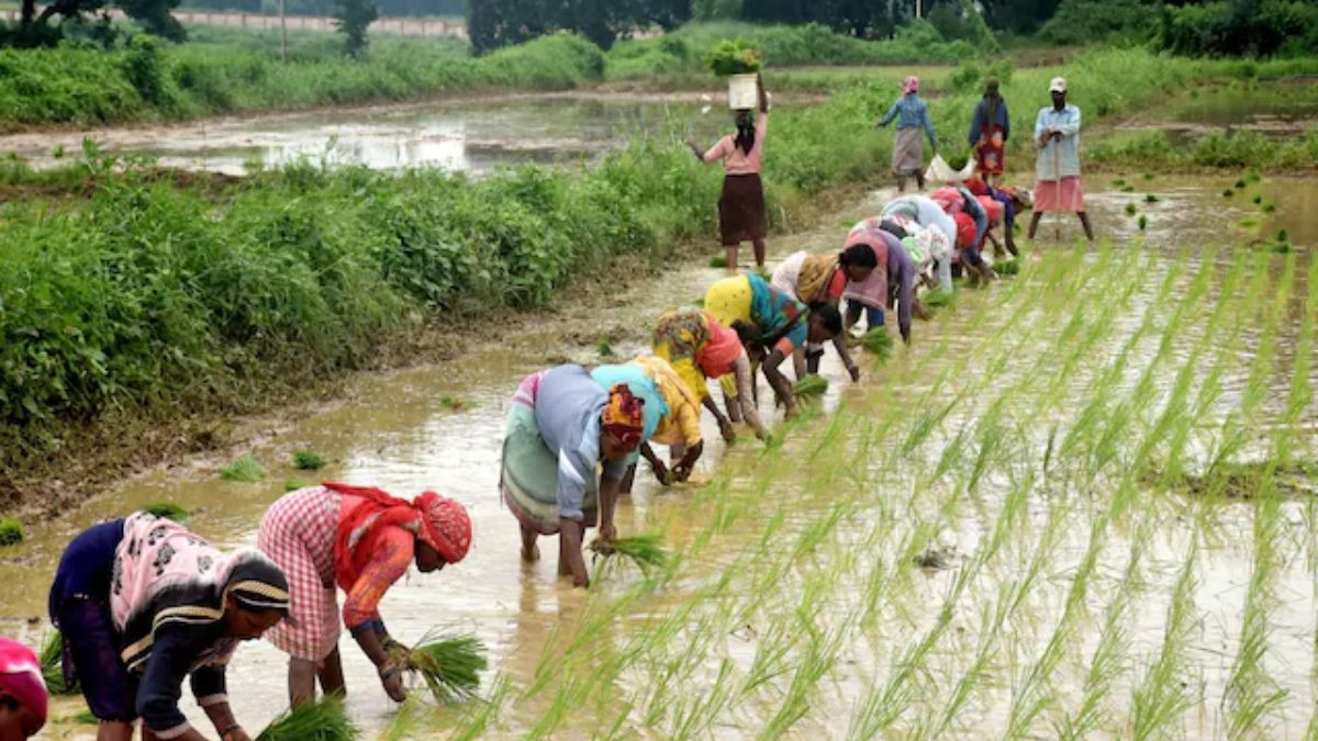 pm aasha yojana kya hai modi cabinet approved rs 35000 crore -क्या है ...