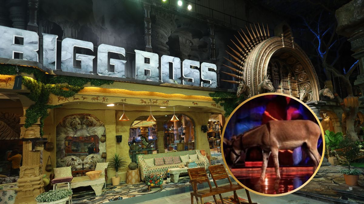 Bigg BOSS 18 HOUSE full look donkey will also enter on stage bBB 18 Premiere date and time ...