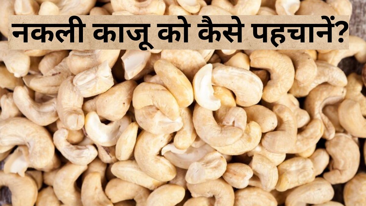 Real vs Fake Cashews How To Identify Real Cashew Diwali 2024 | Jansatta