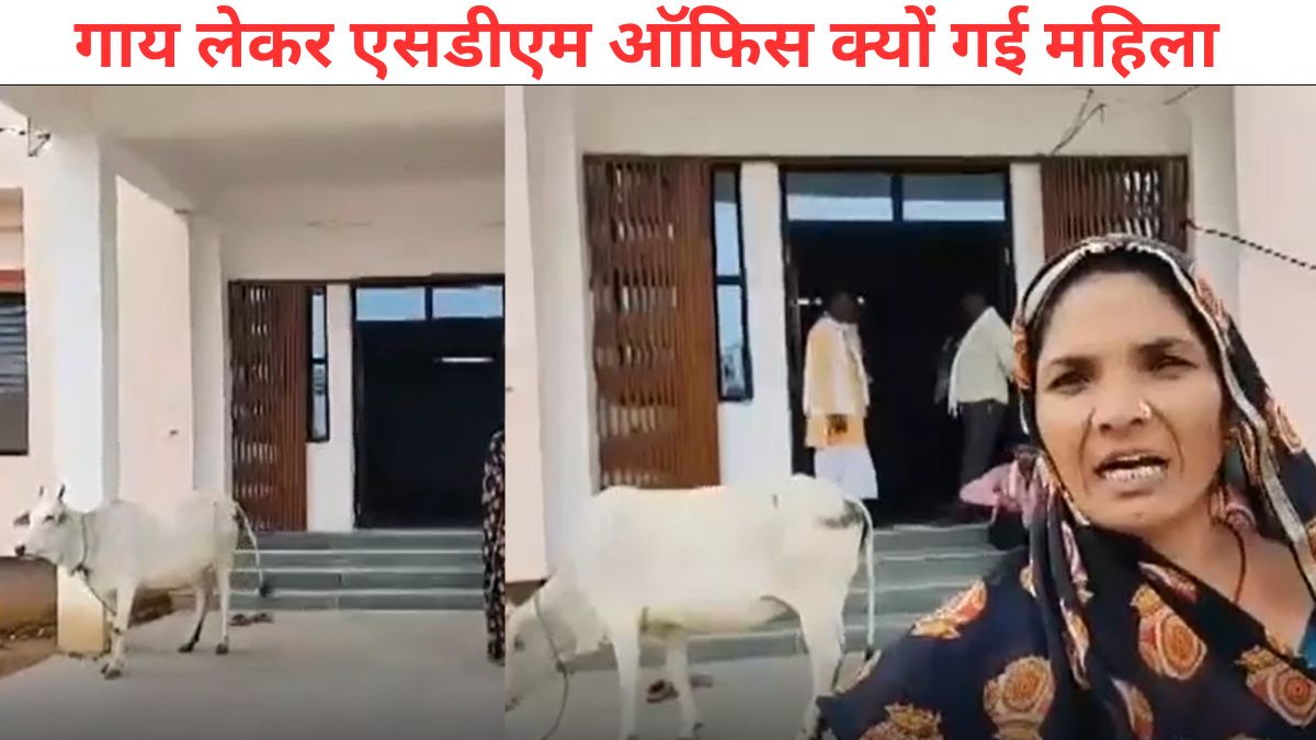 SDM Office woman reached officer with Cow Viral Video will make you ...
