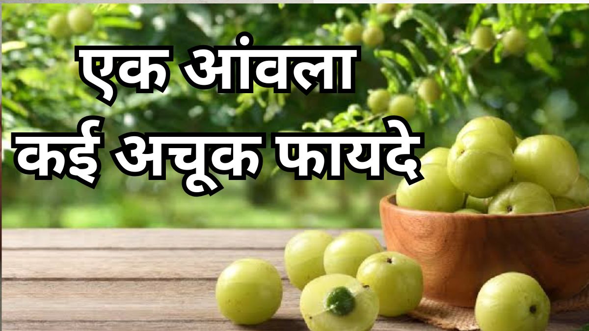 Amla Benefits: आंवला का जूस करेगा कई बीमारियां का इलाज, BP-कोलेस्ट्रॉल ...