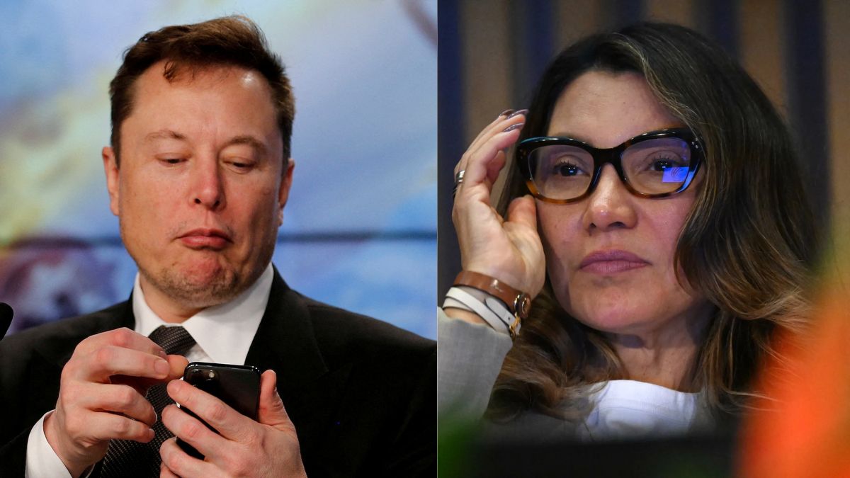 elon musk insult brazil first lady janja da silva in g20 summit | Jansatta