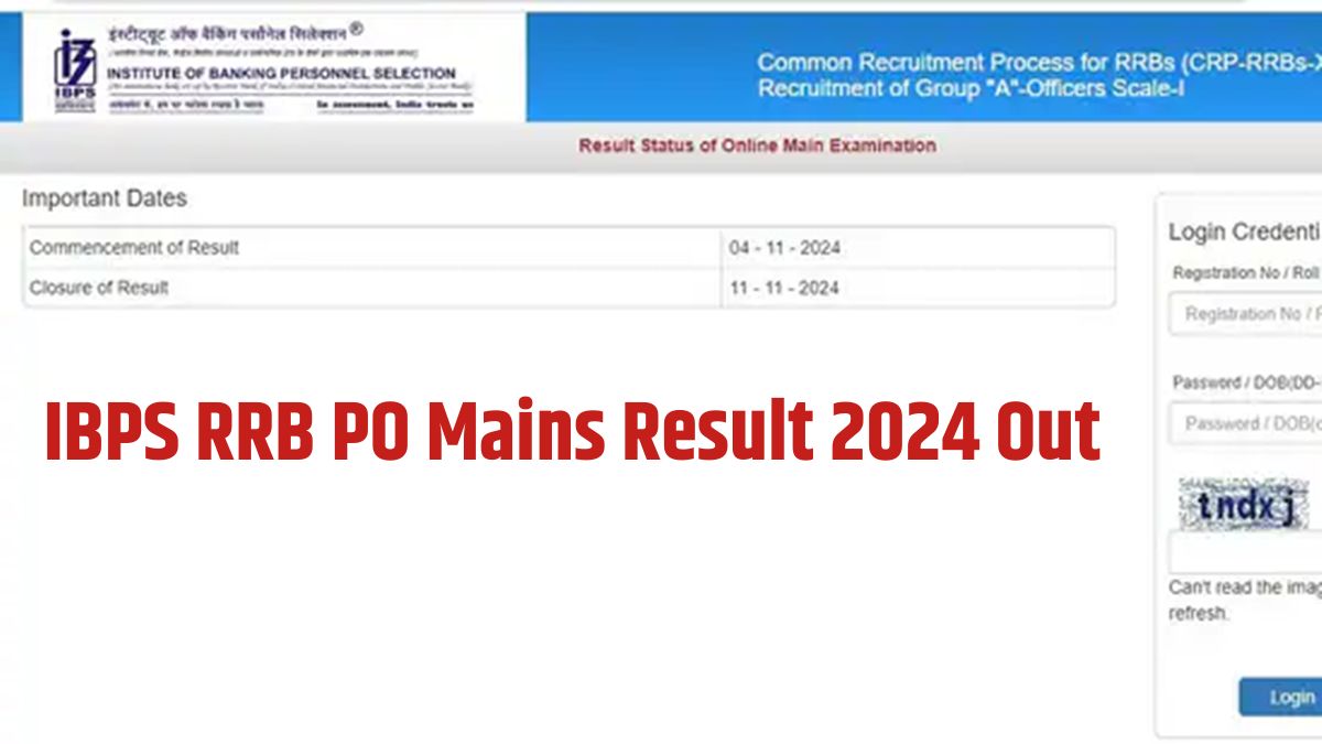 ibps rrb po mains result 2024 out candidate check scorecard at official website ibps.in | Jansatta