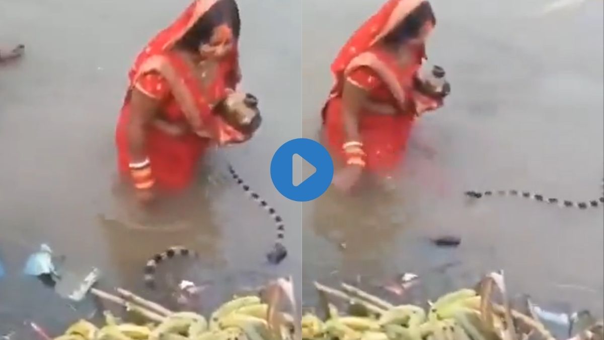 Bihar snake came near a woman standing in water for Chhath Puja what ...