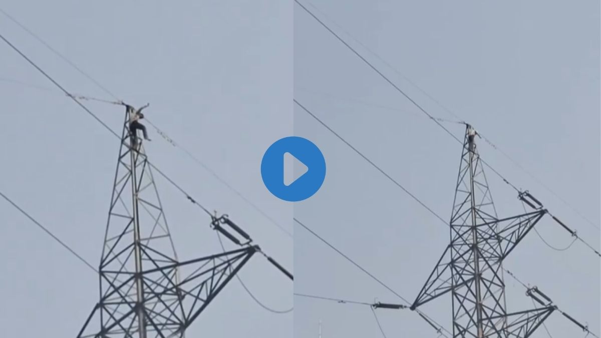 uttar pradesh Man Climbed on Electricity Poll in Noida sector 76 video ...