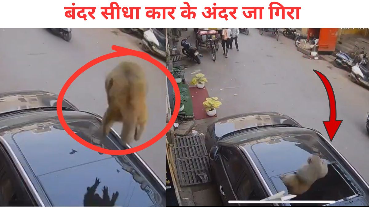 monkey jumped on luxury car enter inside break sunroof in Varanasi ...