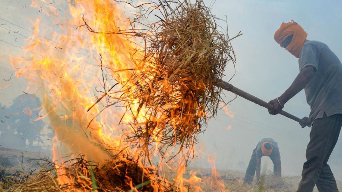stubble burning fine double upto 30000 due to delhi polluotion center ...