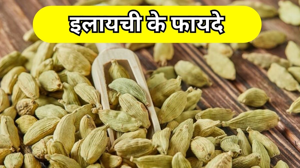 Elaichi Ke Fayde: मसालों की रानी 'इलायची' में छूपा है सेहत का खजाना ...
