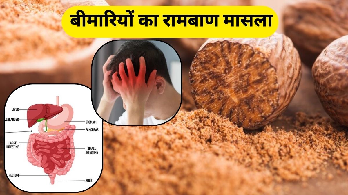 jaiphal ke fayde: रसोई में रखे इस मसाले का बस रोज एक चुटकी कर लें सेवन ...