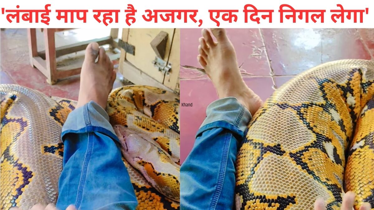 python viral video boy sitting on big snake playing people said one day ...